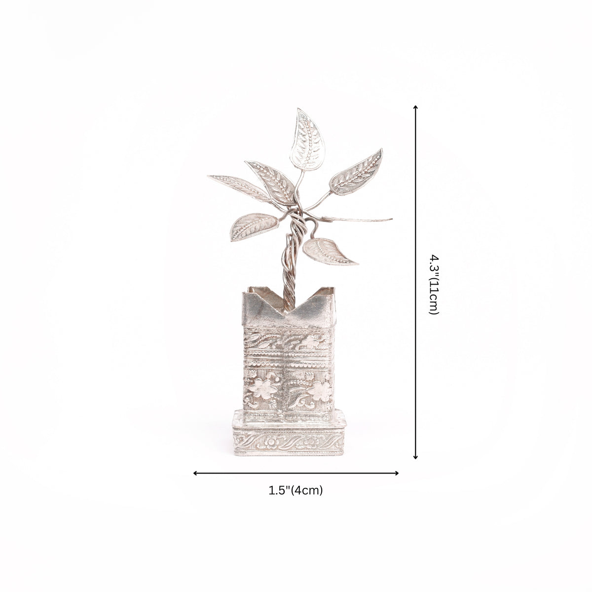 German Silver Tulsi Plant – Natriel