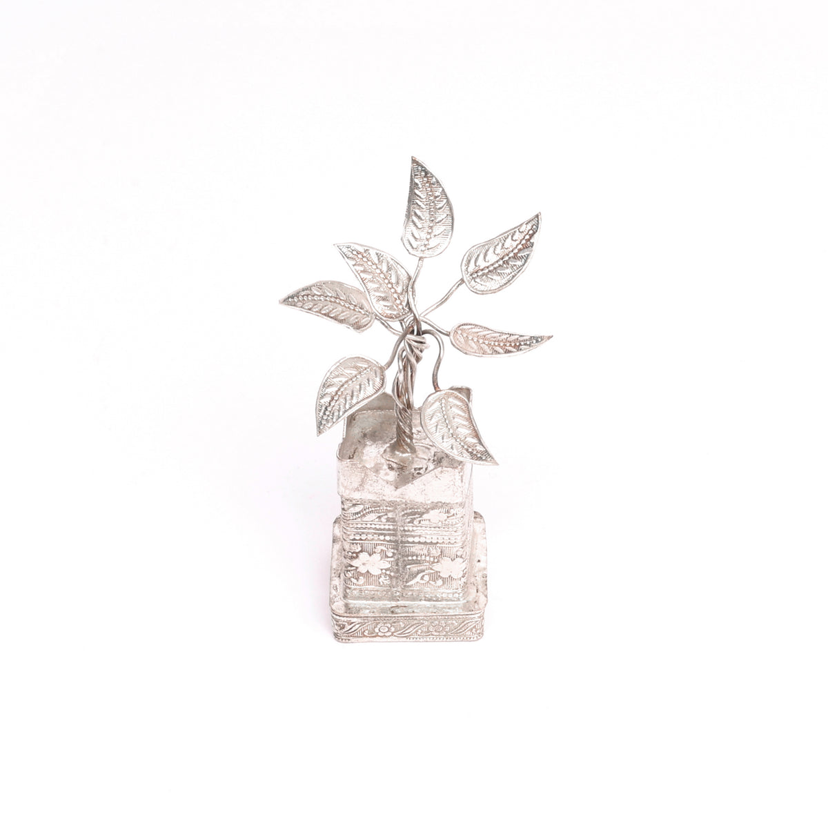 German Silver Tulsi Plant – Natriel
